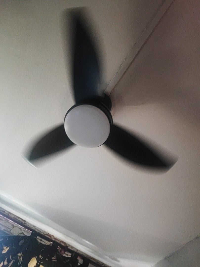 Fanco Mini Bee 26" Ceiling Fan, Furniture & Home Living, Lighting ...