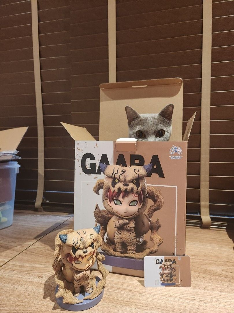 [PO] Sagiri Izumi|Eromanga Sensei, Hobbies & Toys, Toys & Games on ...