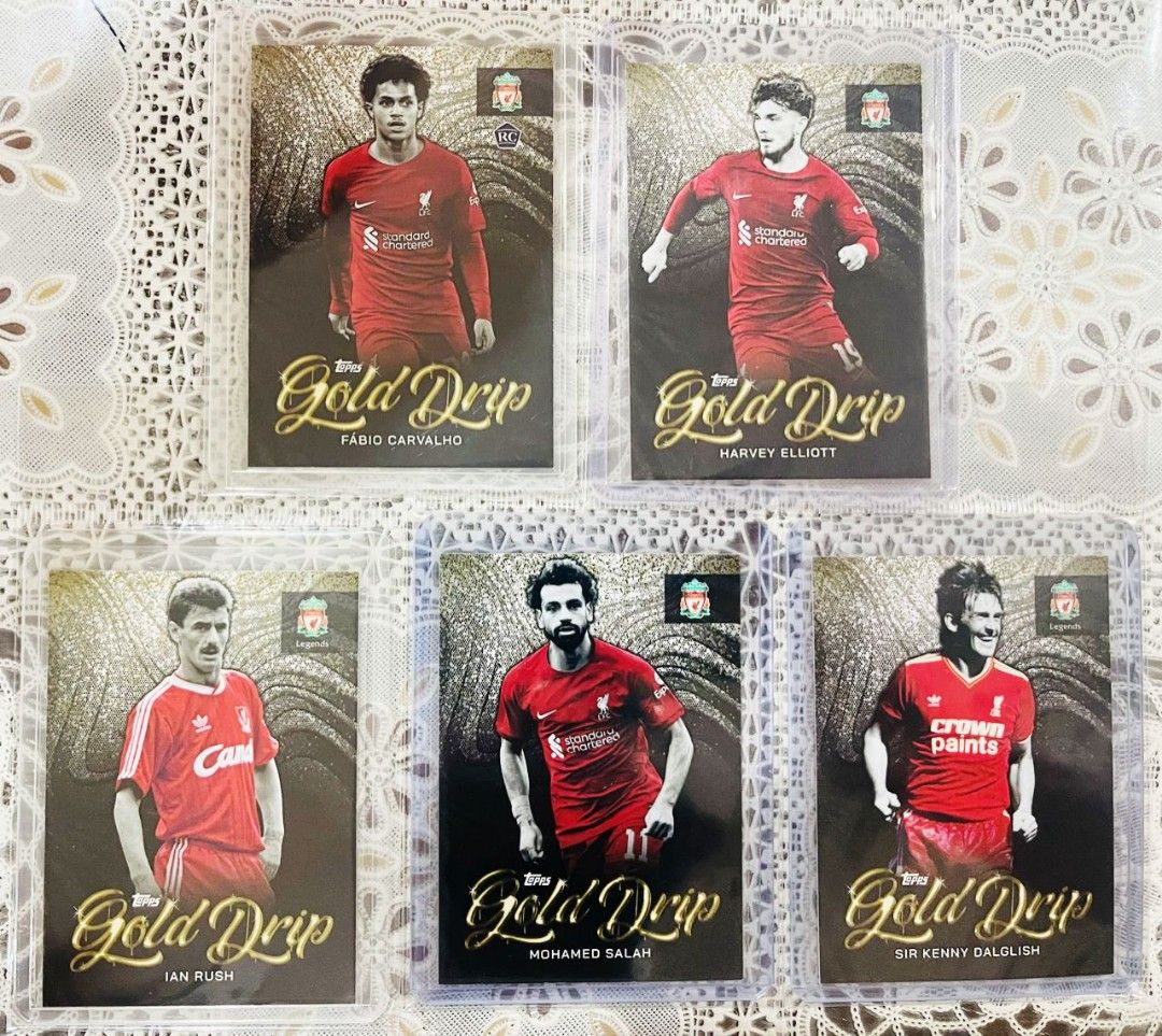 CARDFIGHT VANGUARD (GRADE 4) Shrouded Divine Knight, Gablade, Hobbies & Toys, Toys & Games on ...