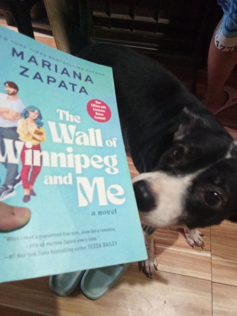 MITSUTECH 16inches Electric Stand Fan Model MSF-16RB, Furniture & Home ...